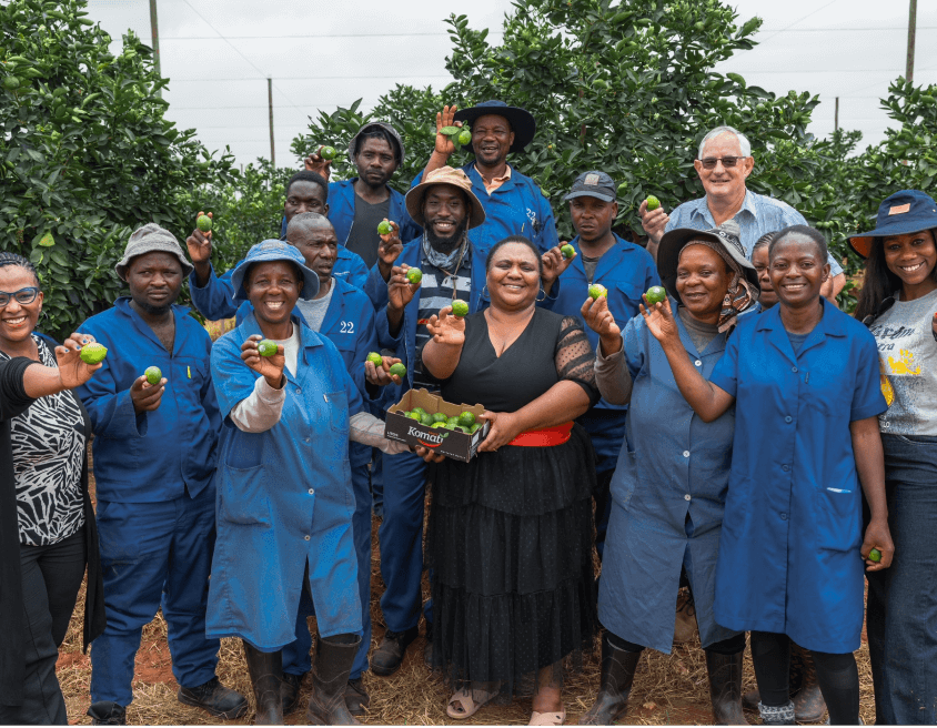 SAB Sharp Stories - Press releases | SAB