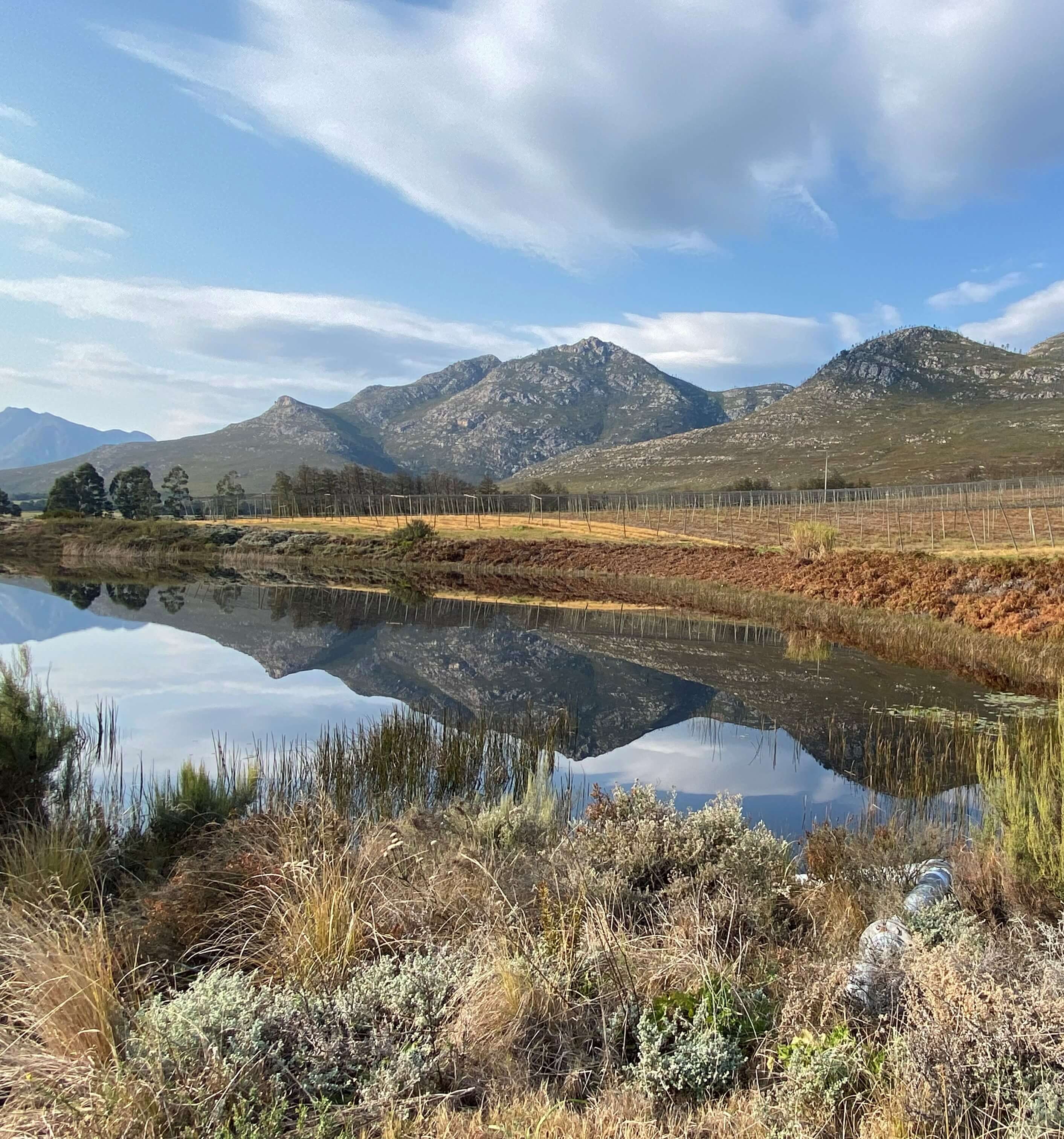 SAB Sharp Stories - Press releases | SAB